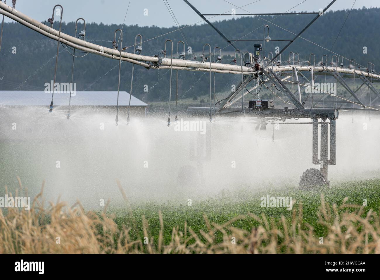 Pivot irrigation sprinkling an agricultural field Stock Photo - Alamy