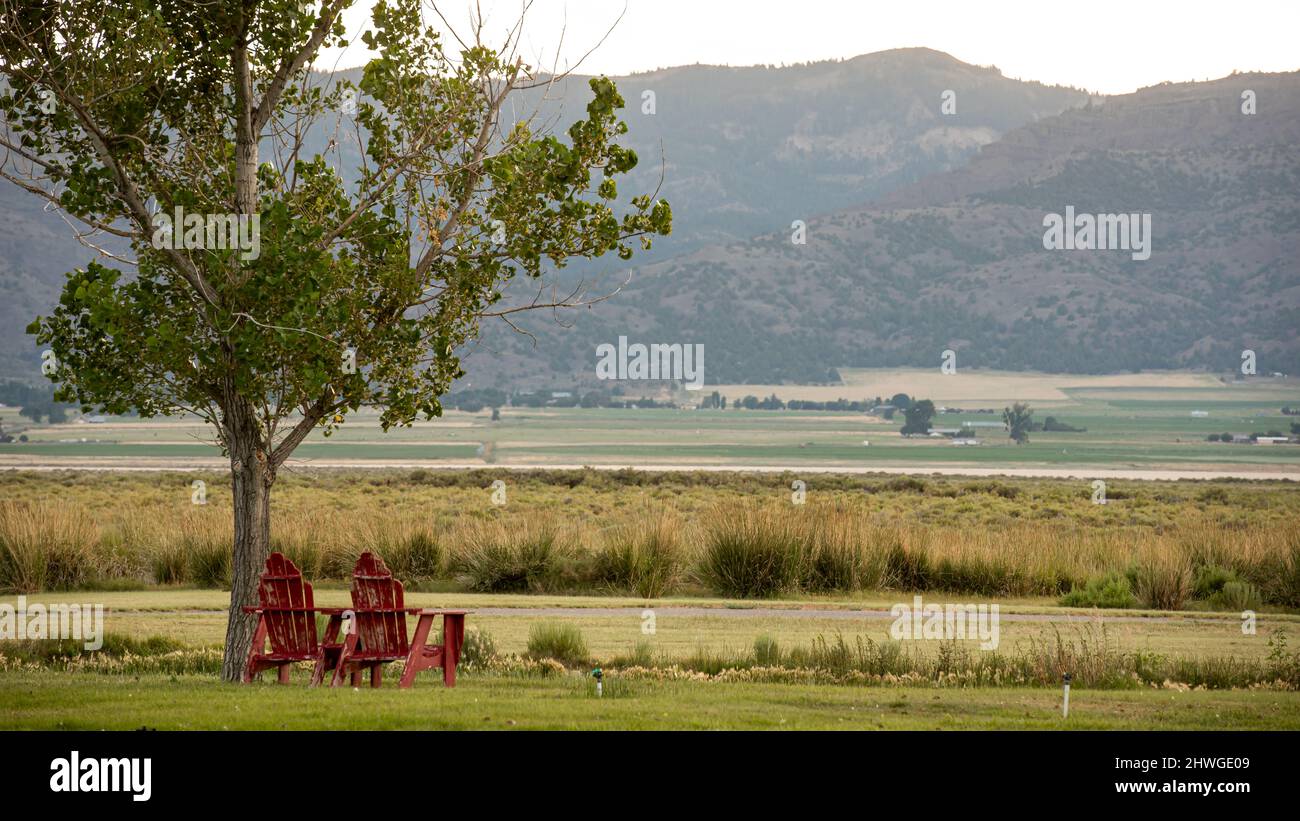 A pair of chairs sit under a tree with a valley view Stock Photo - Alamy