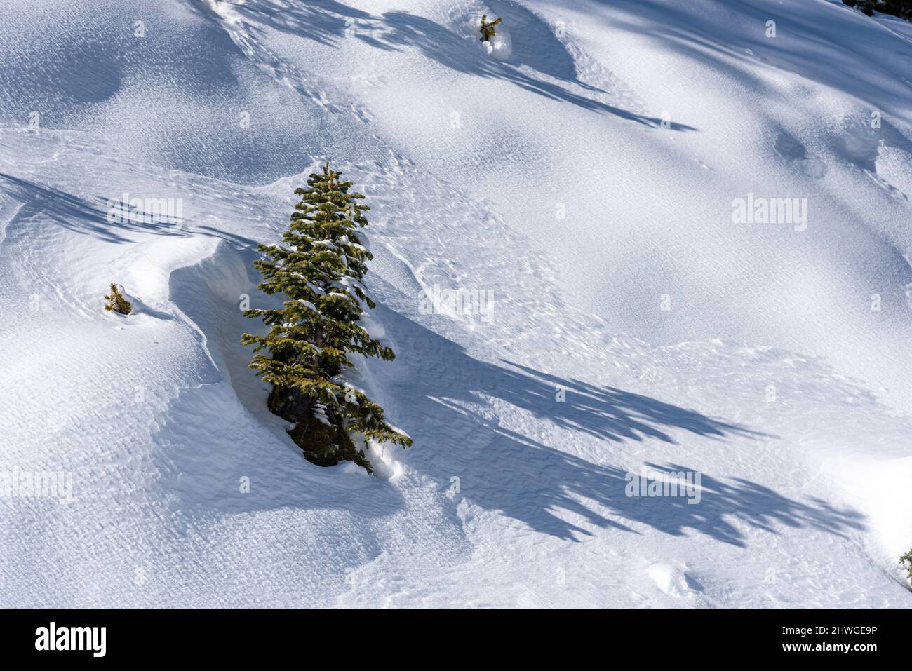 Beautiful frosty landscape hi-res stock photography and images - Alamy