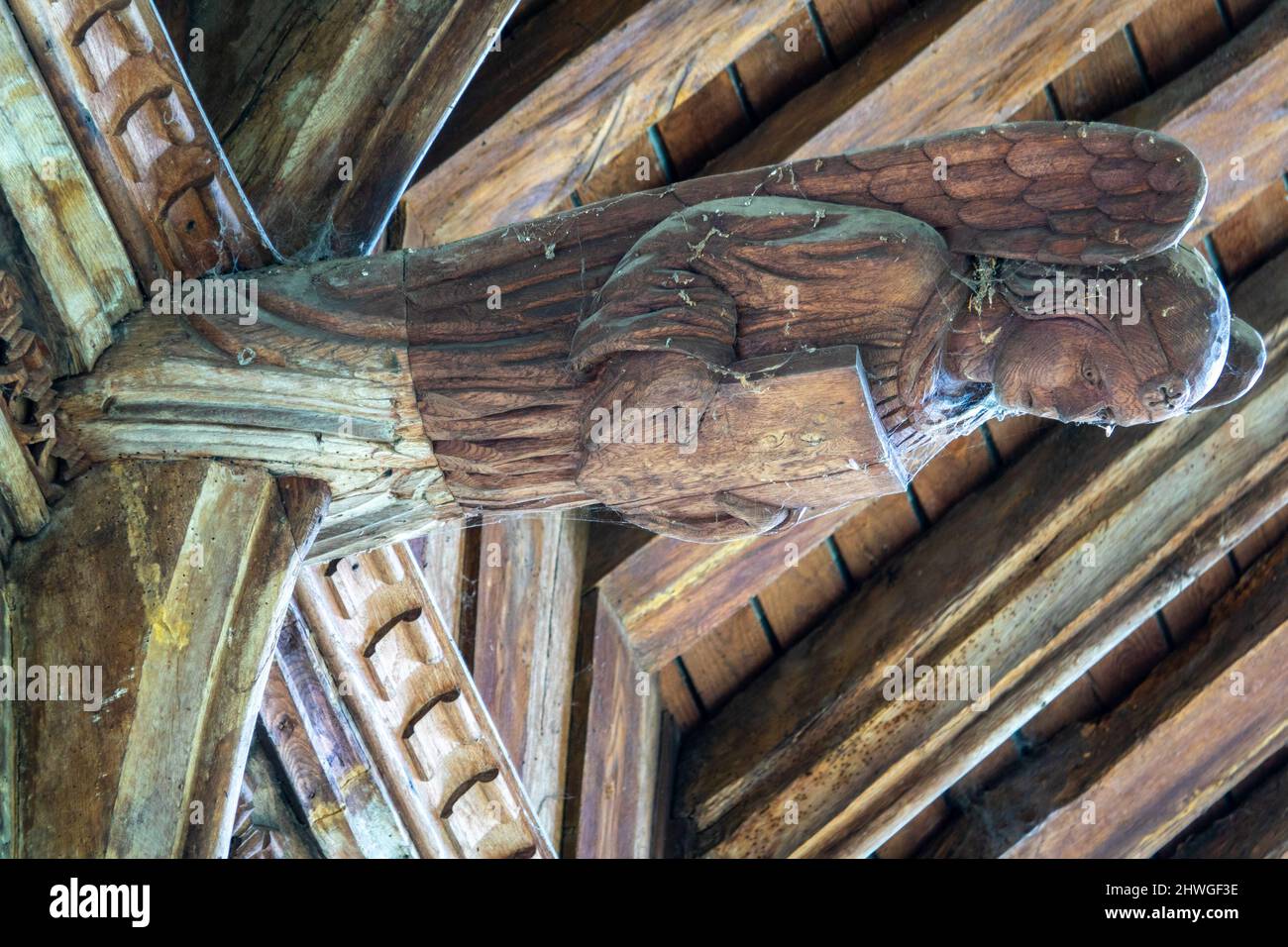 Large angels in hammerbeam roof. Holme Hale church Norfolk Stock Photo ...