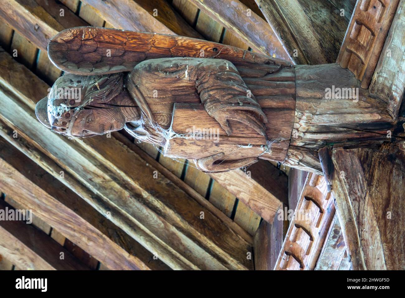 Large angels in hammerbeam roof. Holme Hale church Norfolk Stock Photo ...