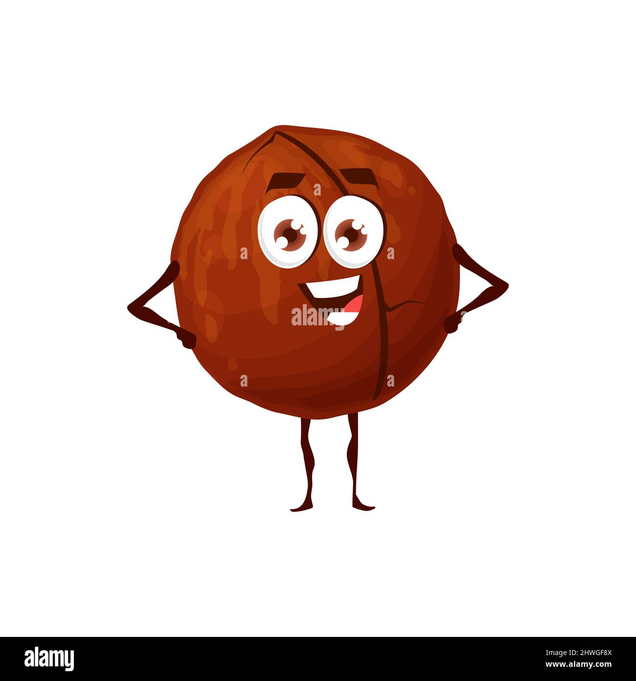 Macadamia cartoon nut character with funny face, vector kids character ...
