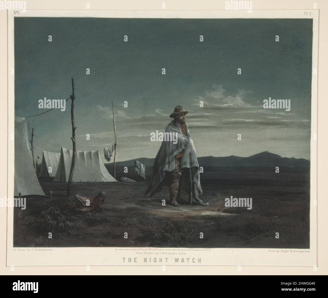 Audubon style bird drawings hi-res stock photography and images - Alamy