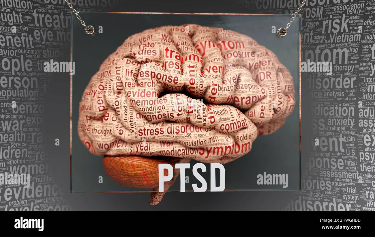 Ptsd anatomy - its causes and effects projected on a human brain ...