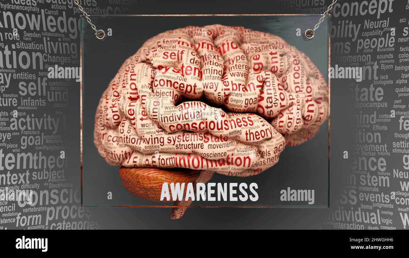 Awareness anatomy - its causes and effects projected on a human brain ...