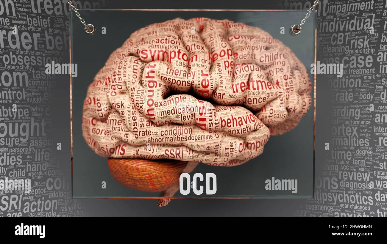Obsessive Compulsive Personality Disorder Brain