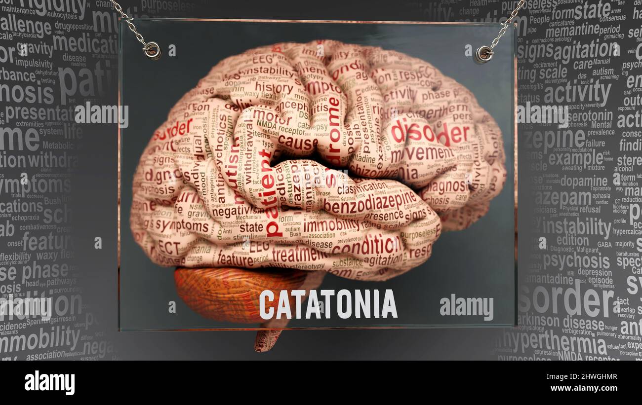 Catatonia anatomy - its causes and effects projected on a human brain ...