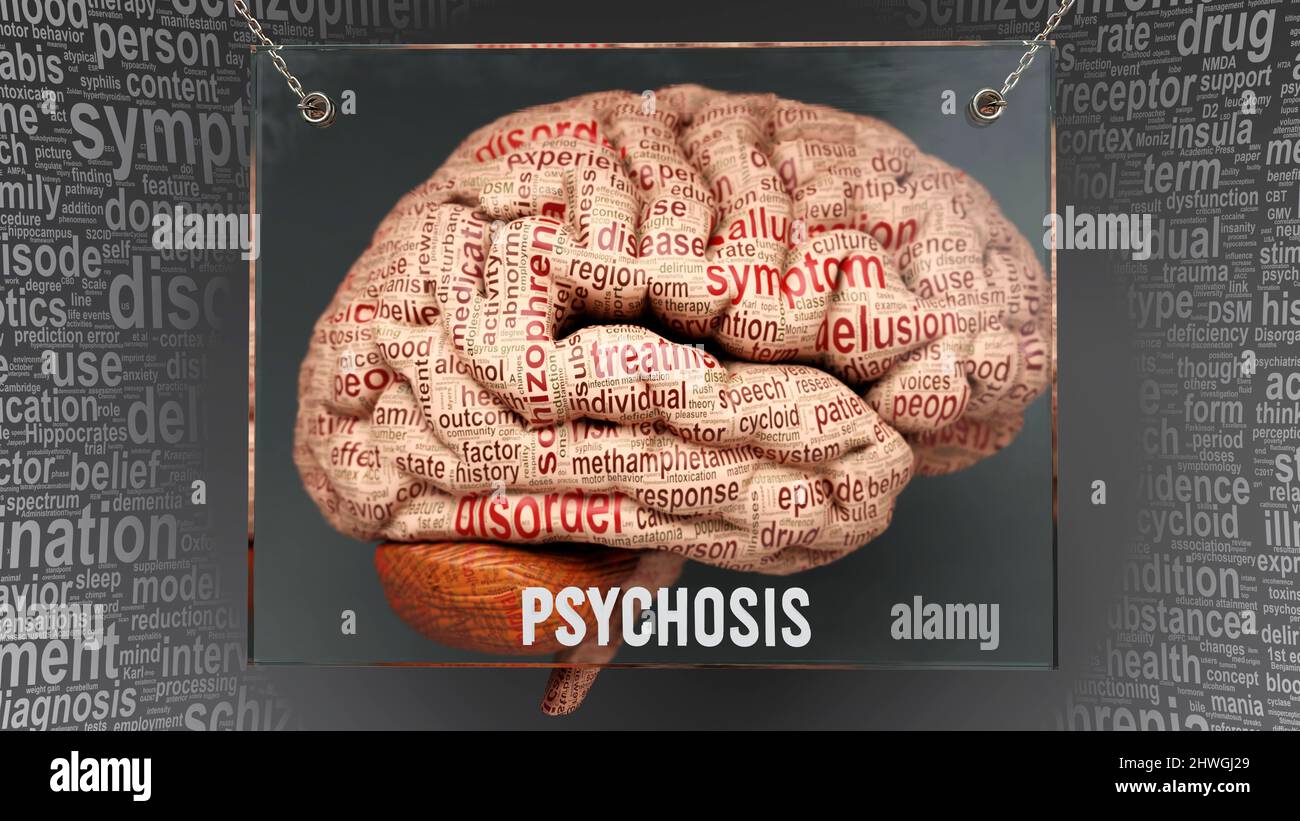 Psychosis anatomy - its causes and effects projected on a human brain ...