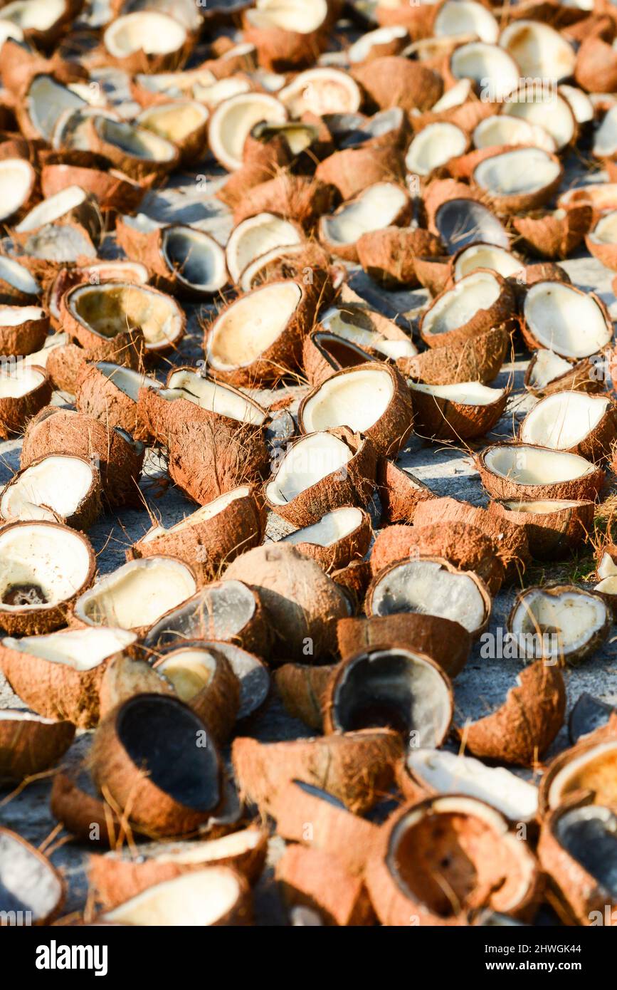Coconut meat hi-res stock photography and images - Alamy