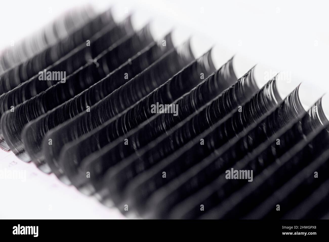 Set artificial black lashes white isolated background, eyelash ...