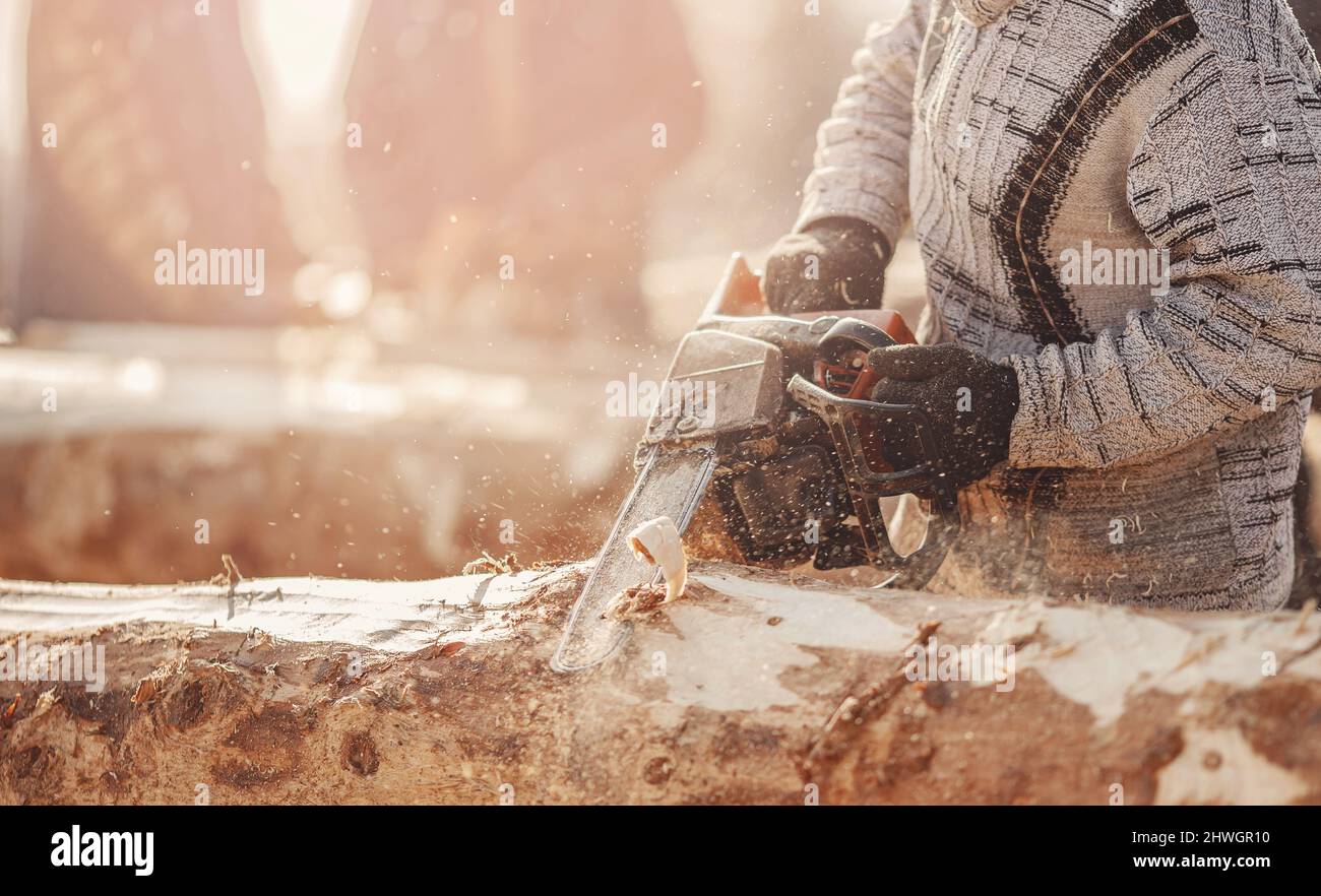 Close-up chainsaw of woodcutter sawing chain saw in motion, sawdust fly ...