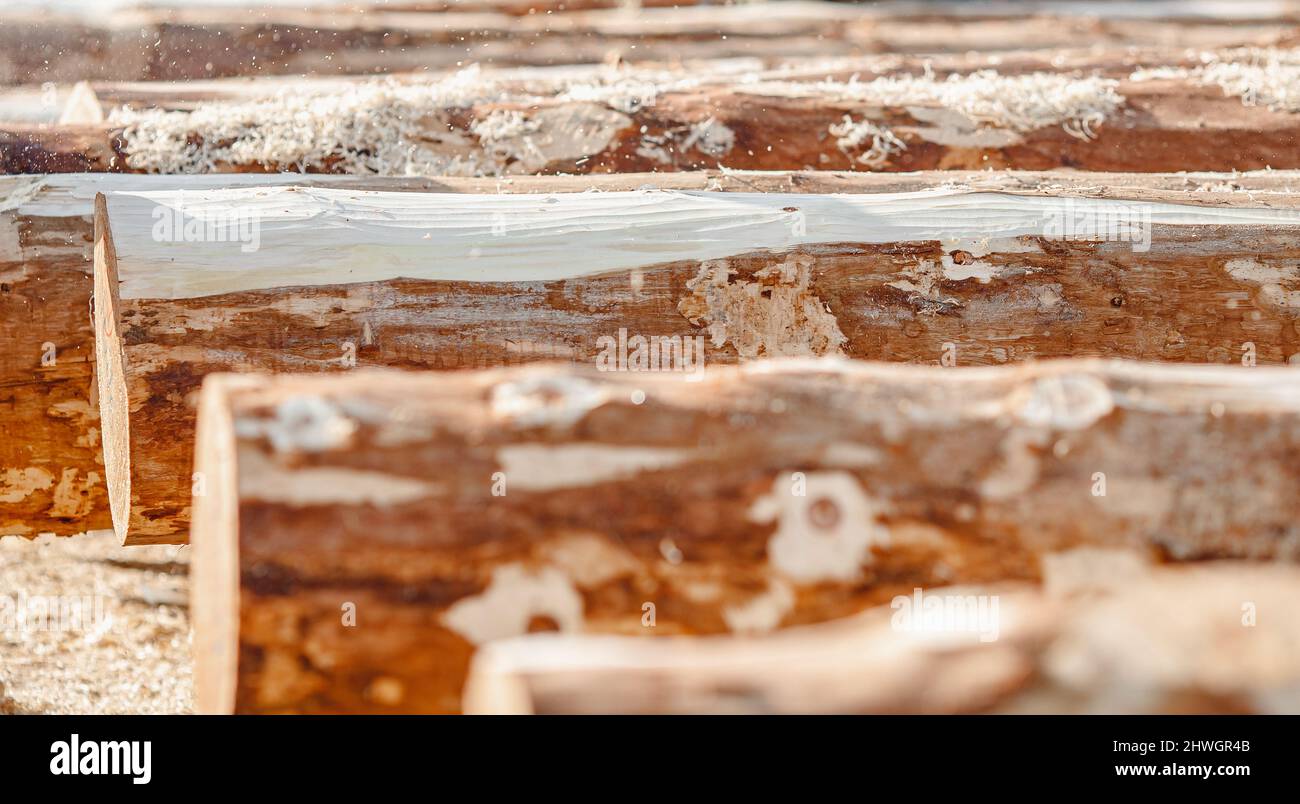 China timber russia logs hi-res stock photography and images - Alamy
