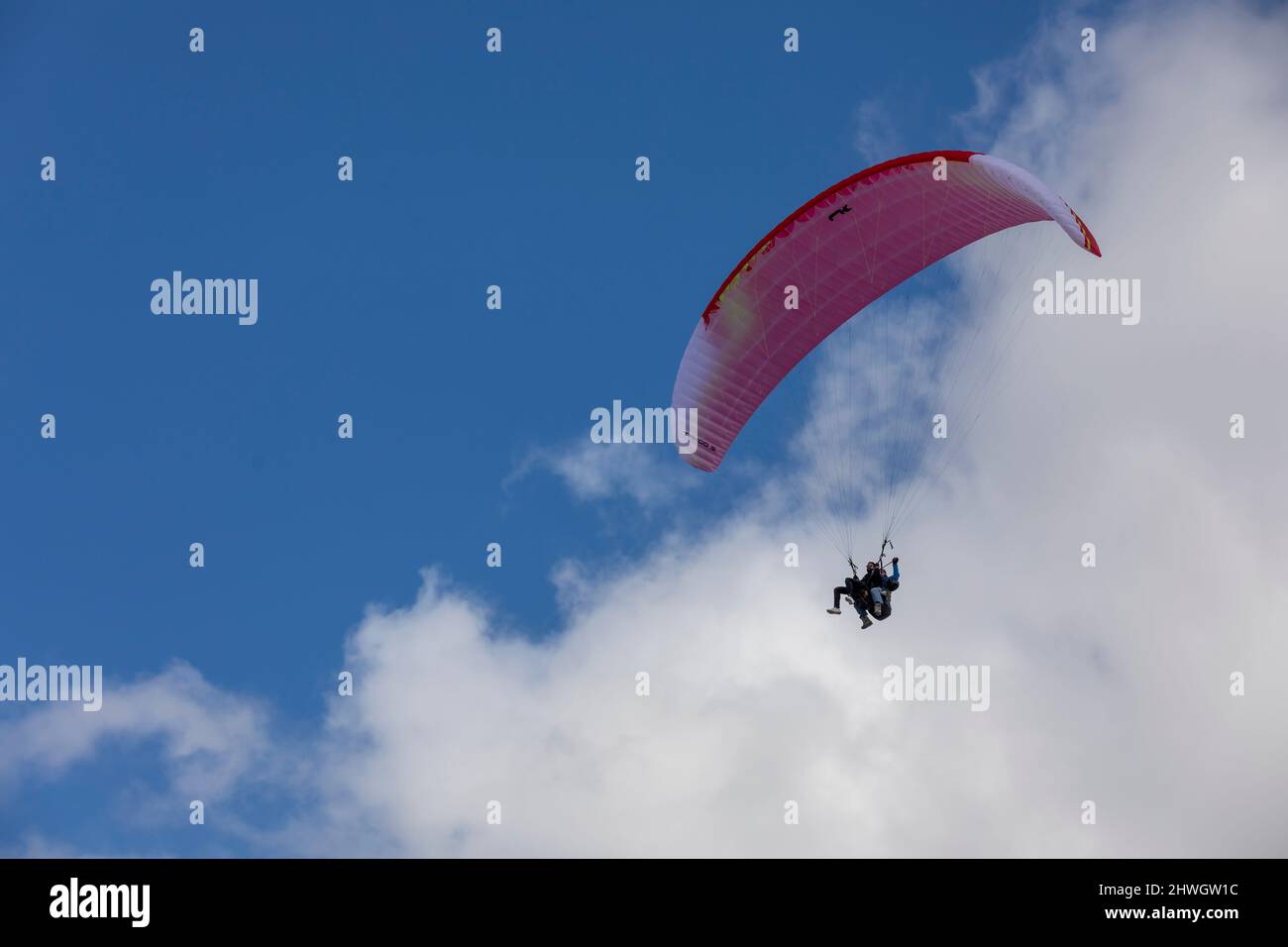 Paragliders in bright blue sky, tandem of instructor and beginner Stock ...