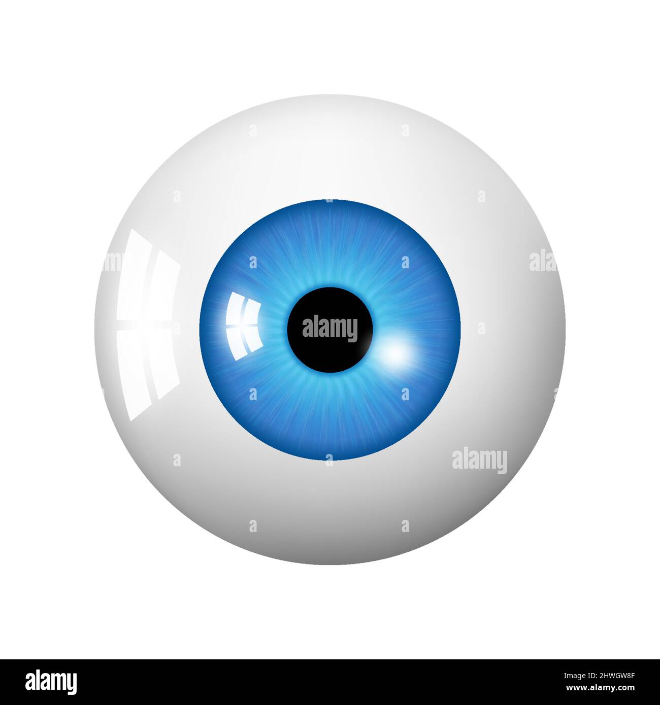 Human eyeball. Eye with bright blue, illustration of eye ball ...