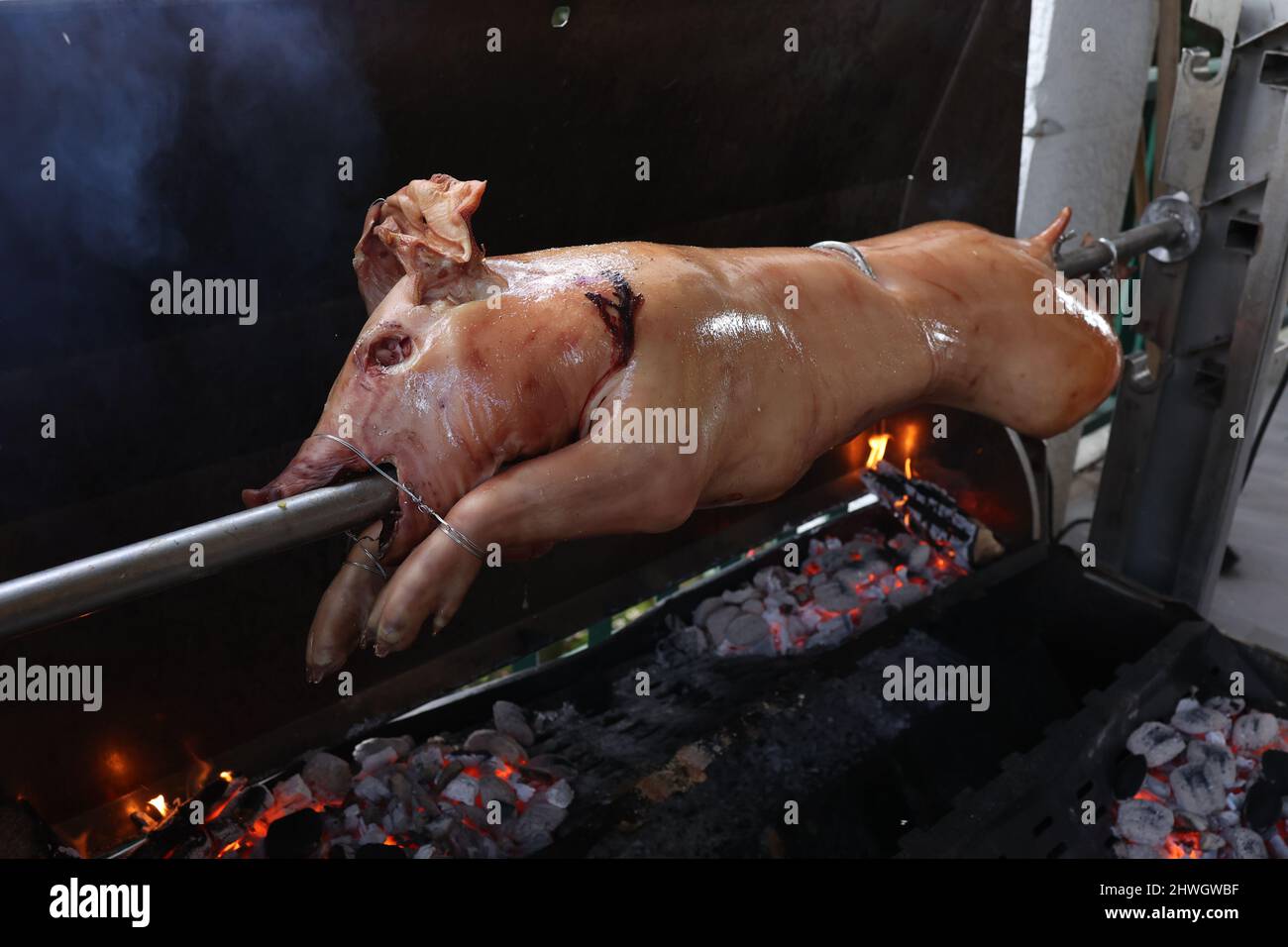 Pig is being grilled slowly on spit in traditional way, cooked with ...