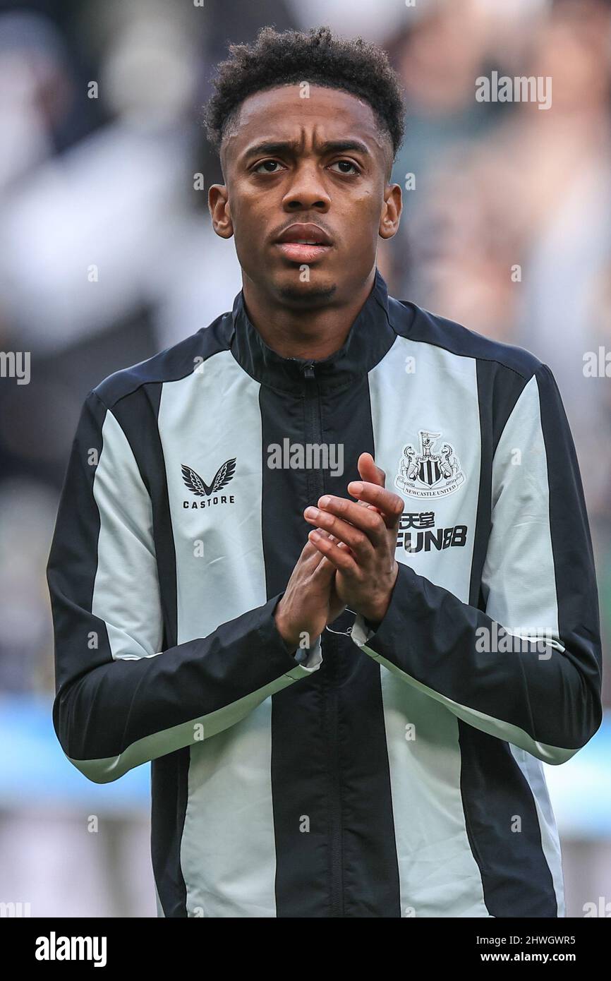 Willock hi-res stock photography and images - Alamy