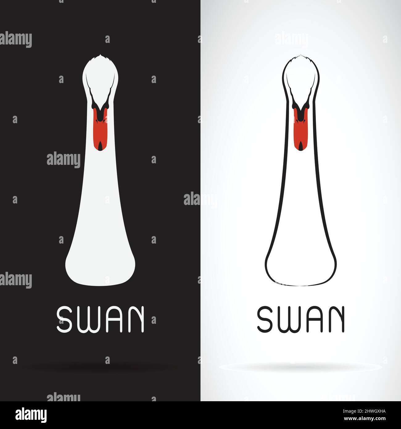 Vector of swan head design on black background and white background ...