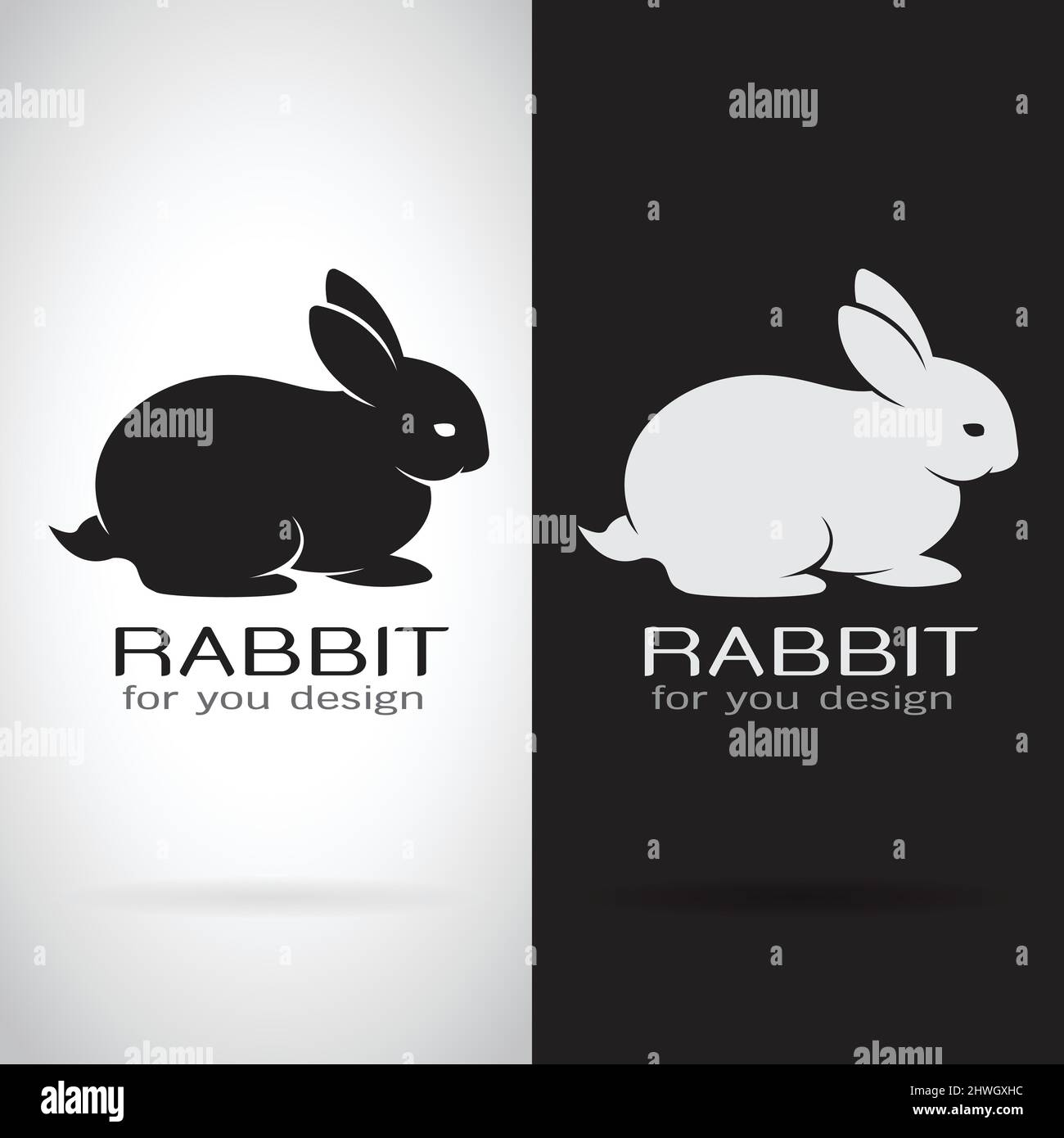 Vector image of a rabbit design on white background and black ...