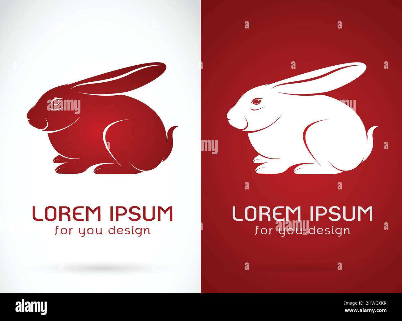 Vector image of a rabbit design on white background and red background ...