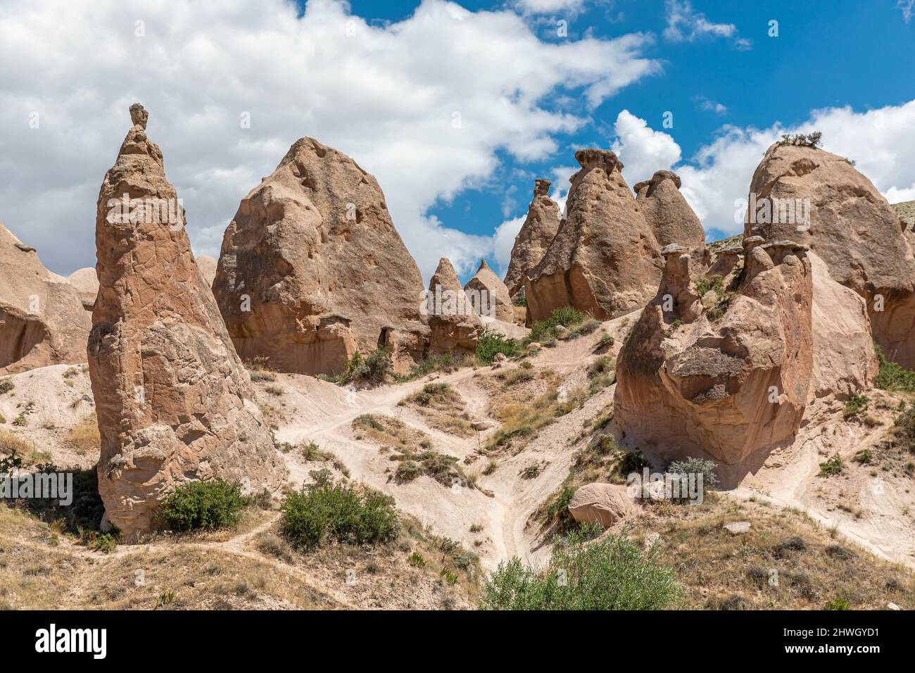 Camel Rock in Devrent Valley, Cappadocia, Devrent Valley, Nevşehir ...