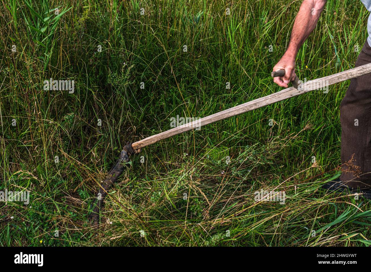 a man mows the grass with a scythe Stock Photo - Alamy