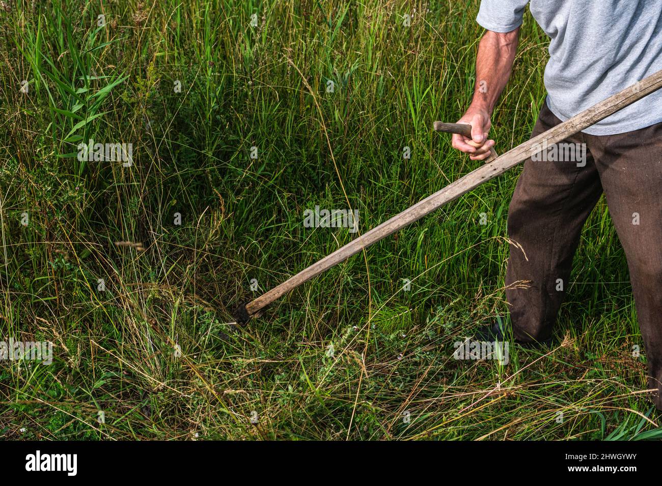 Farmer cutting grass with a scythe hi-res stock photography and images ...