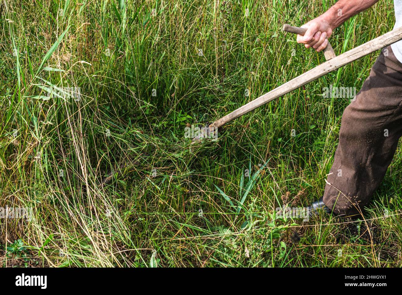 Farmer cutting grass with a scythe hi-res stock photography and images ...