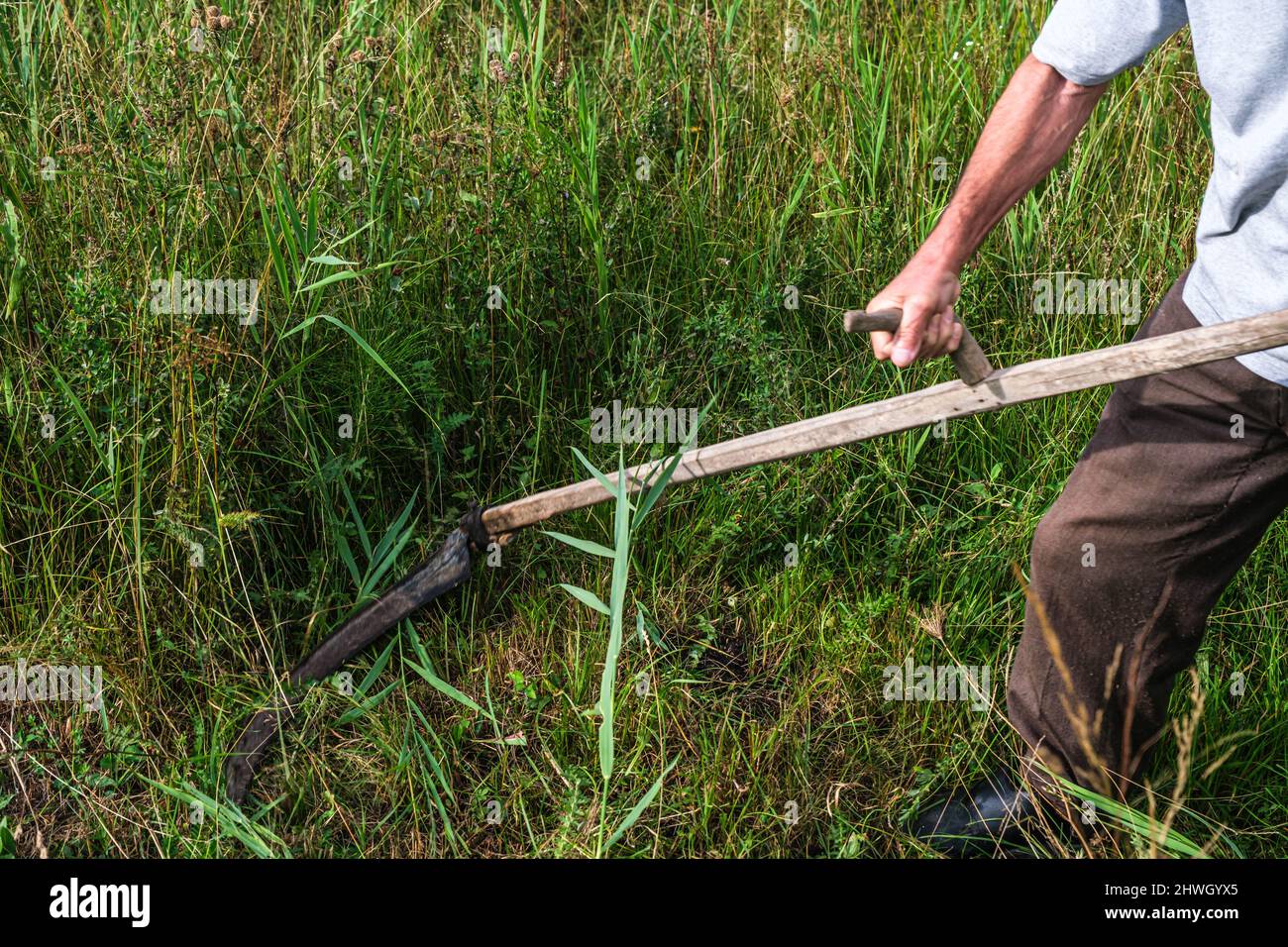 a man mows the grass with a scythe Stock Photo - Alamy
