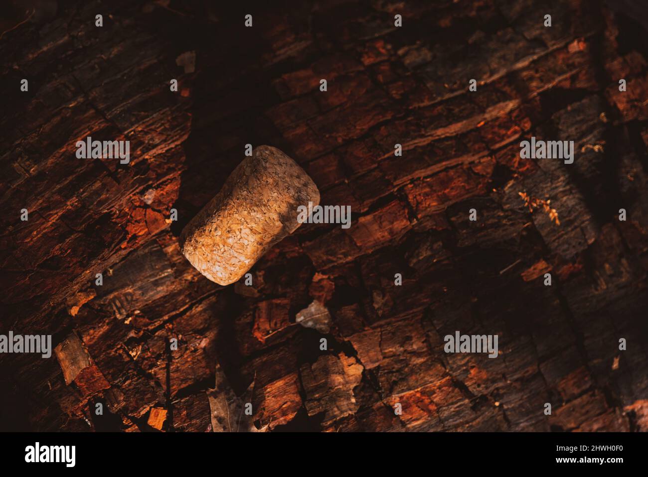 Rooten hi-res stock photography and images - Alamy