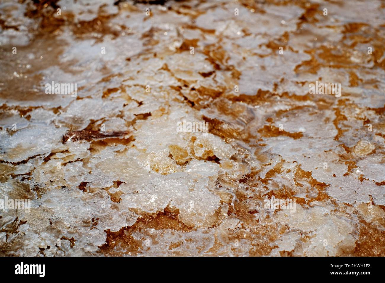 salt crystals on limestone rock, Blue Lagoon, Camino island, Malta ...