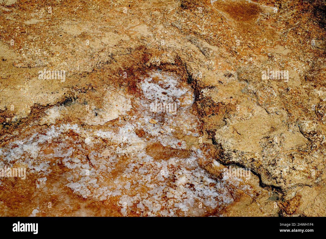 salt crystals on limestone rock, Blue Lagoon, Camino island, Malta ...