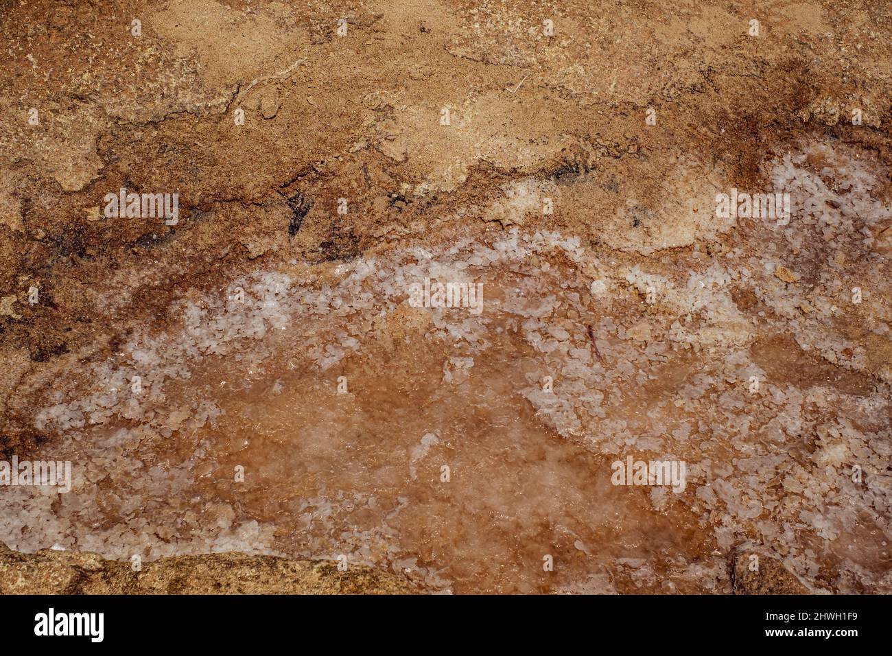 salt crystals on limestone rock, Blue Lagoon, Camino island, Malta ...
