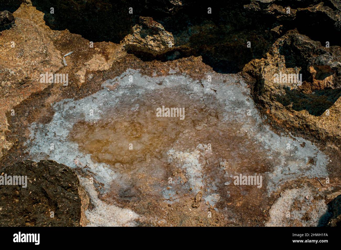 salt crystals on limestone rock, Blue Lagoon, Camino island, Malta ...