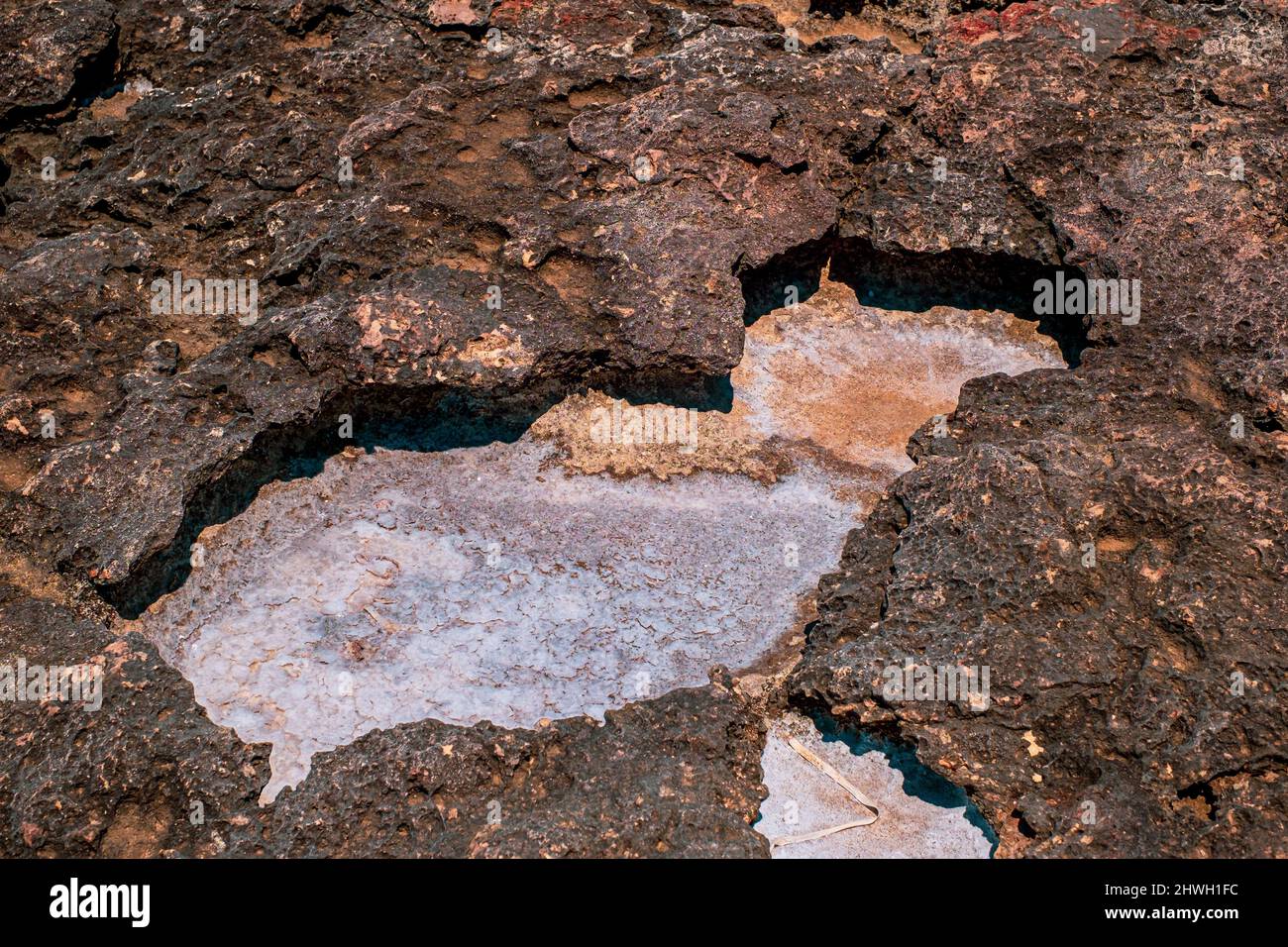 salt crystals on limestone rock, Blue Lagoon, Camino island, Malta ...