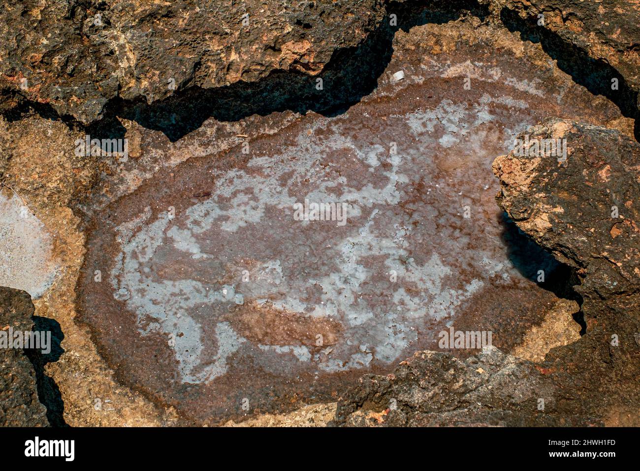 salt crystals on limestone rock, Blue Lagoon, Camino island, Malta ...