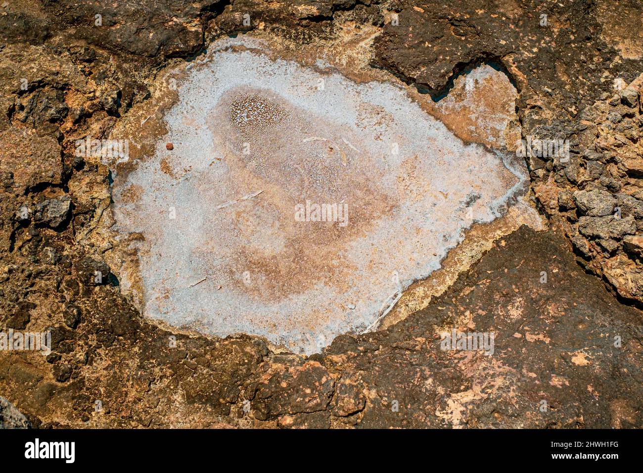 salt crystals on limestone rock, Blue Lagoon, Camino island, Malta ...