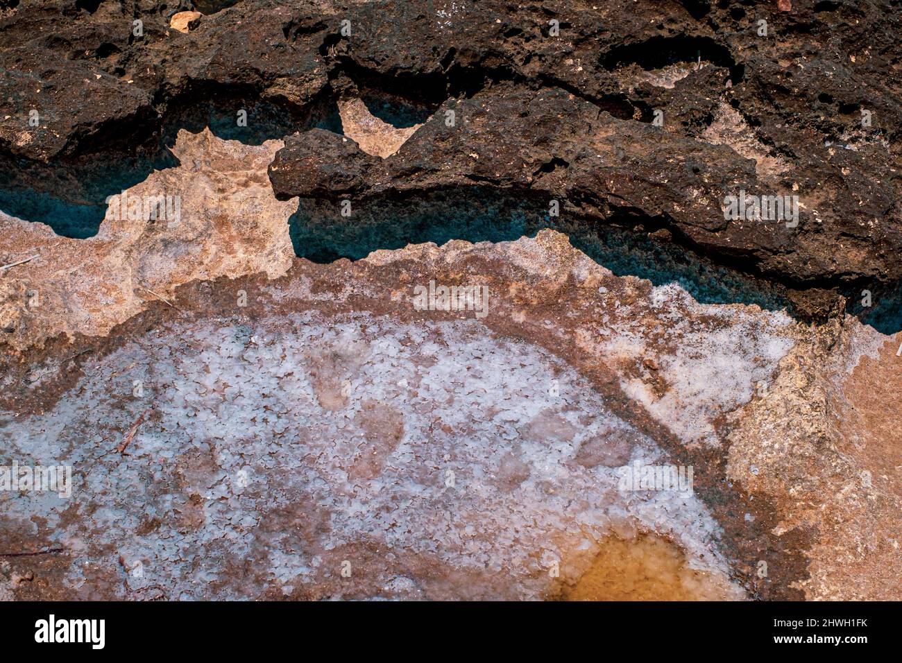 salt crystals on limestone rock, Blue Lagoon, Camino island, Malta ...