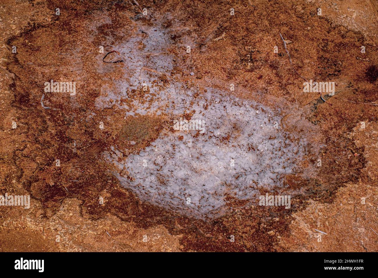 salt crystals on limestone rock, Blue Lagoon, Camino island, Malta ...