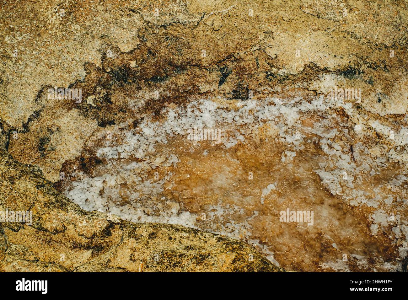 salt crystals on limestone rock, Blue Lagoon, Camino island, Malta ...