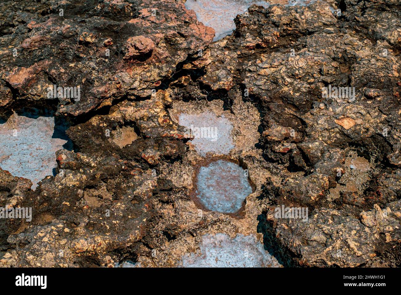 salt crystals on limestone rock, Blue Lagoon, Camino island, Malta ...