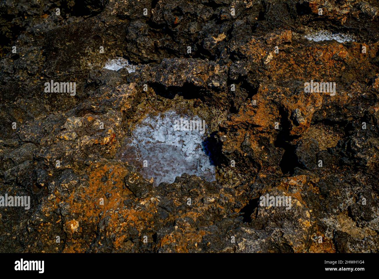 salt crystals on limestone rock, Blue Lagoon, Camino island, Malta ...