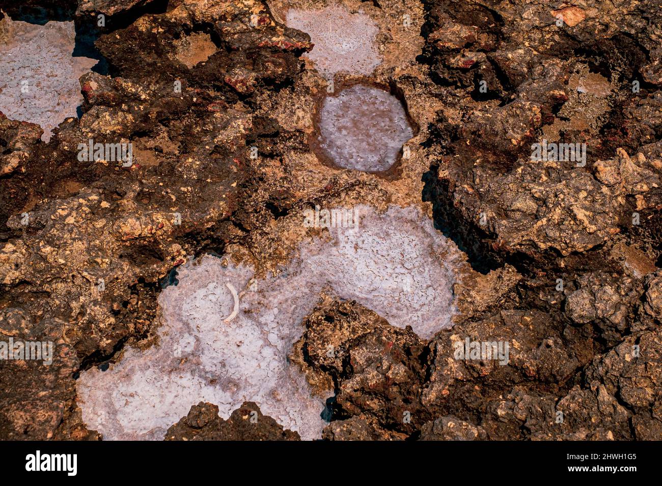 salt crystals on limestone rock, Blue Lagoon, Camino island, Malta ...