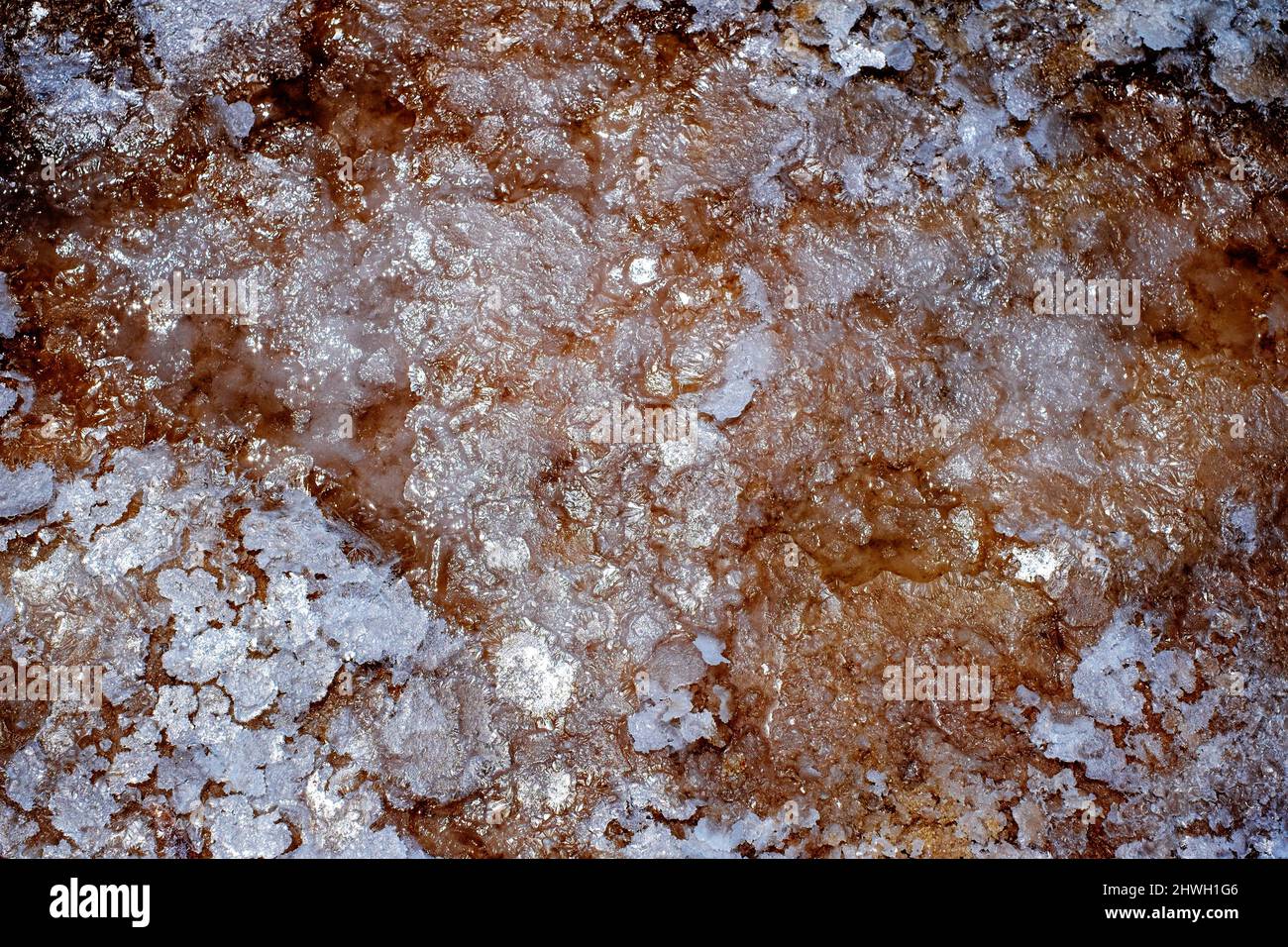 salt crystals on limestone rock, Blue Lagoon, Camino island, Malta ...