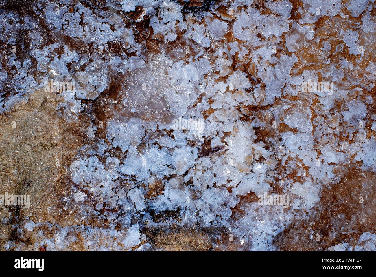 salt crystals on limestone rock, Blue Lagoon, Camino island, Malta ...