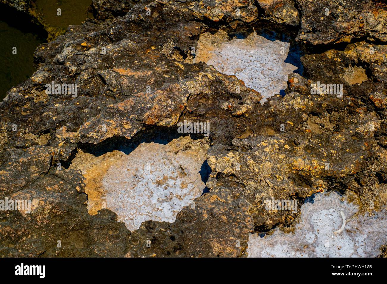 salt crystals on limestone rock, Blue Lagoon, Camino island, Malta ...