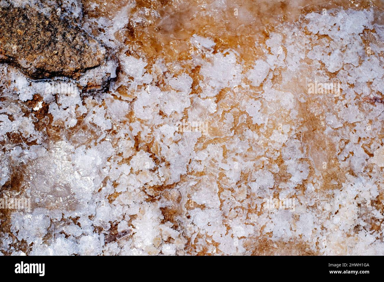 salt crystals on limestone rock, Blue Lagoon, Camino island, Malta ...