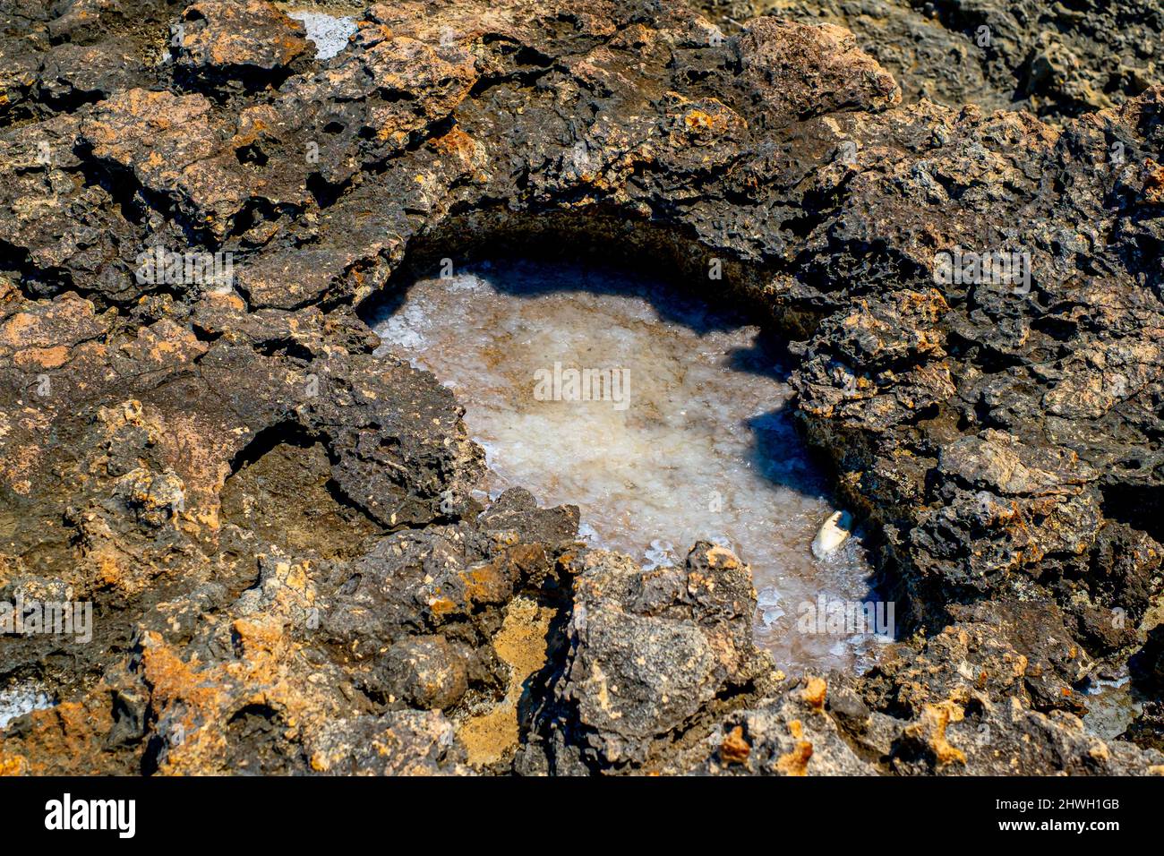 salt crystals on limestone rock, Blue Lagoon, Camino island, Malta ...