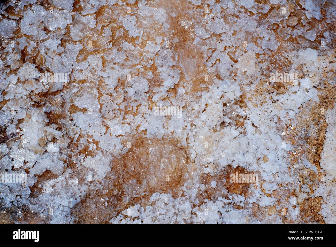 salt crystals on limestone rock, Blue Lagoon, Camino island, Malta ...