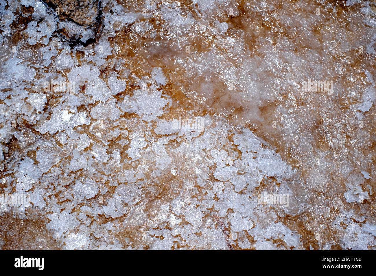 salt crystals on limestone rock, Blue Lagoon, Camino island, Malta ...