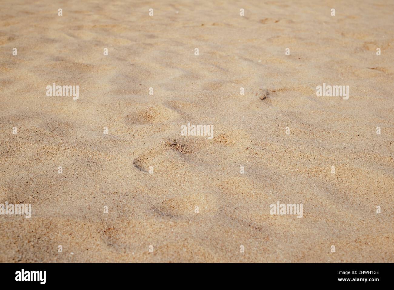 sand texture on the beach Stock Photo - Alamy